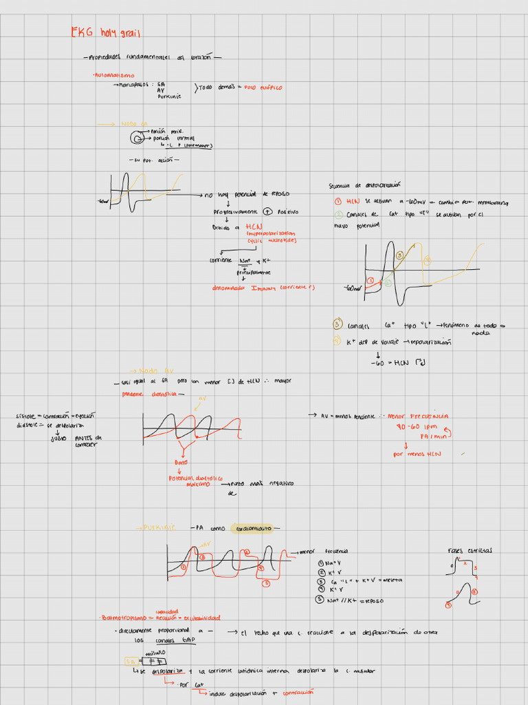 Ekg 250717 111836 | PDF