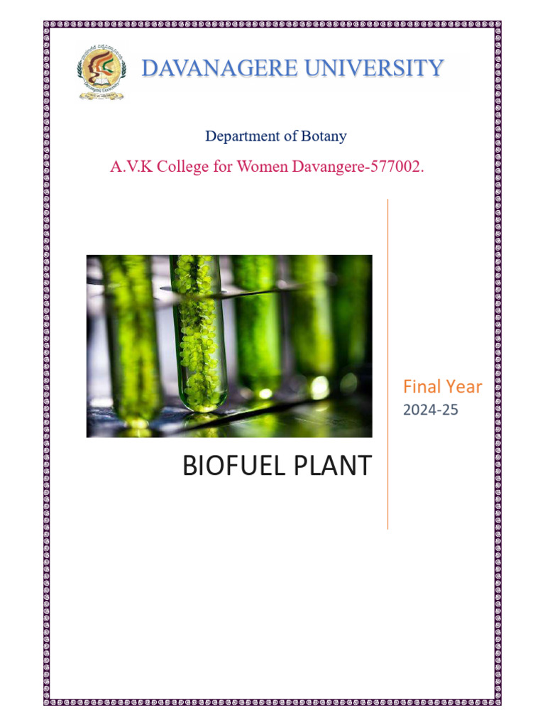 Project Report Biofule-1 | PDF | Biofuel | Cottonseed
