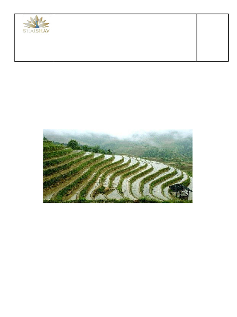 Soils of India Worksheet for Class IV | PDF | Soil | Natural Materials