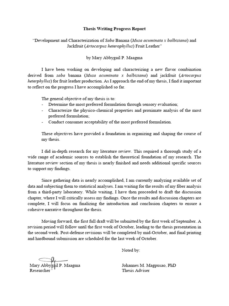 Thesis Progress Report | PDF