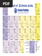 20 Amino Acids | PDF | Amino Acid | Nutrients
