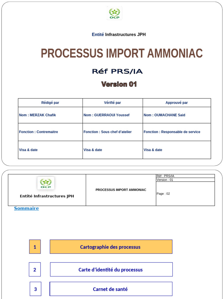 Fiche d'Identification Du Processus Import Ammoniac | PDF | Gaz