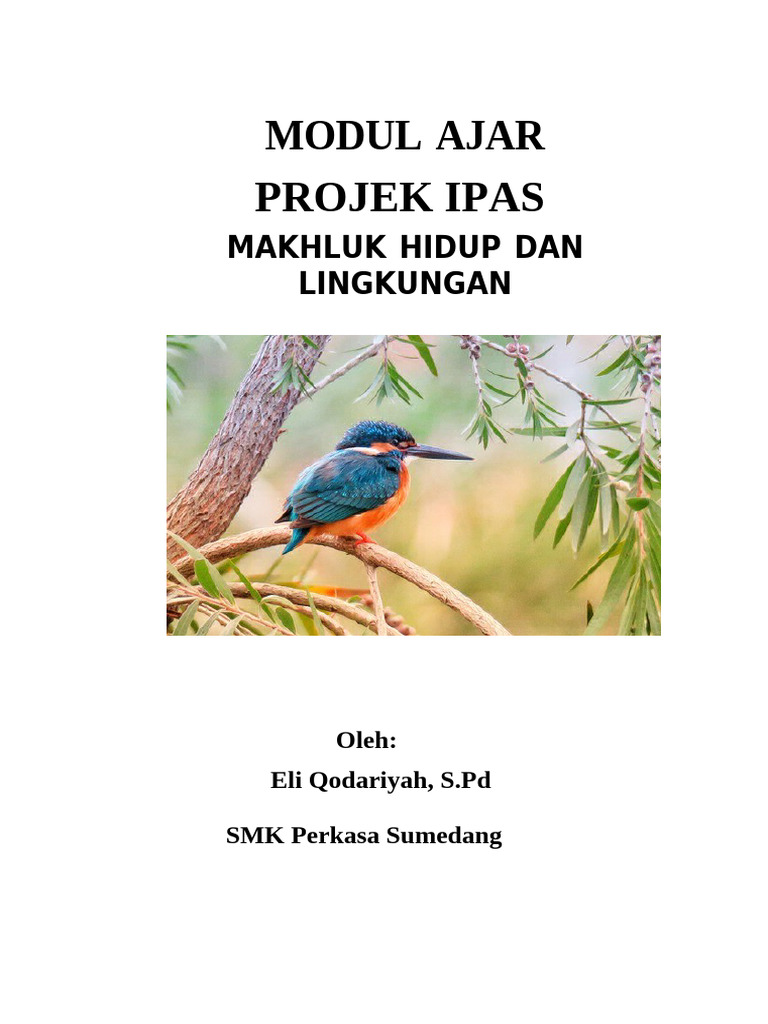 Modul Ajar Proyek Ipas Kelas X | PDF