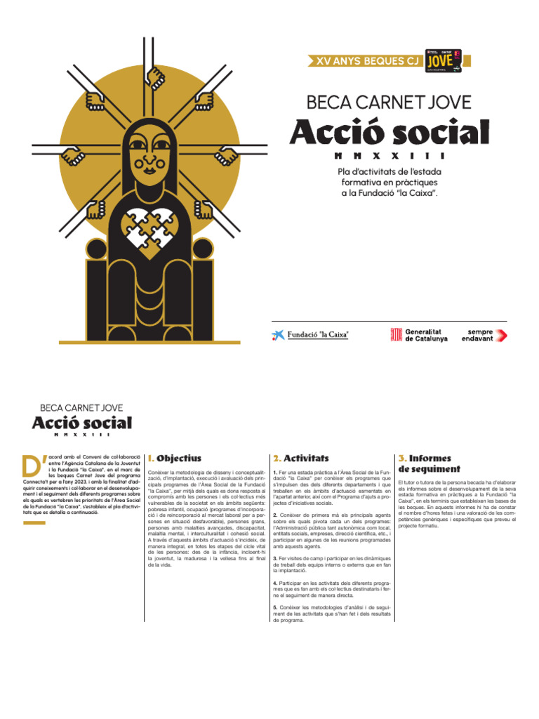 Pla Formatiu Accio Social | PDF
