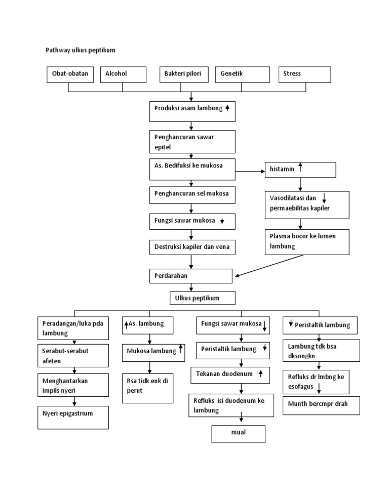 Pathway Ulkus Gaster | PDF | Memasak, Makanan, & Anggur