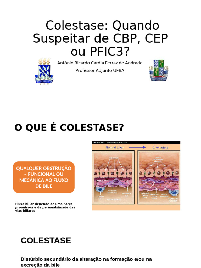 Colestase P Lori Pronta | PDF | Bile | Remédio