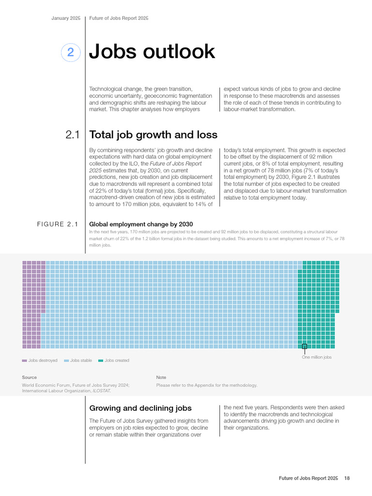 Future of Jobs Report 2025 Insights | PDF | Cost Of Living | Automation