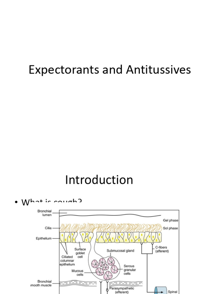 Expectorants and Antitussives Overview | PDF | Cough | Drugs
