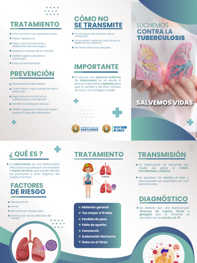 Plegable Tuberculosis Gobernación | PDF | Tuberculosis | Medicina