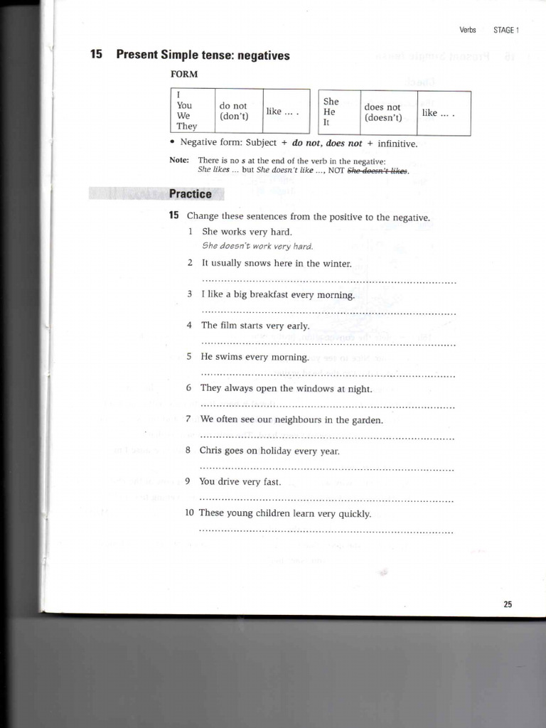 Present Simple Tense 6 | PDF