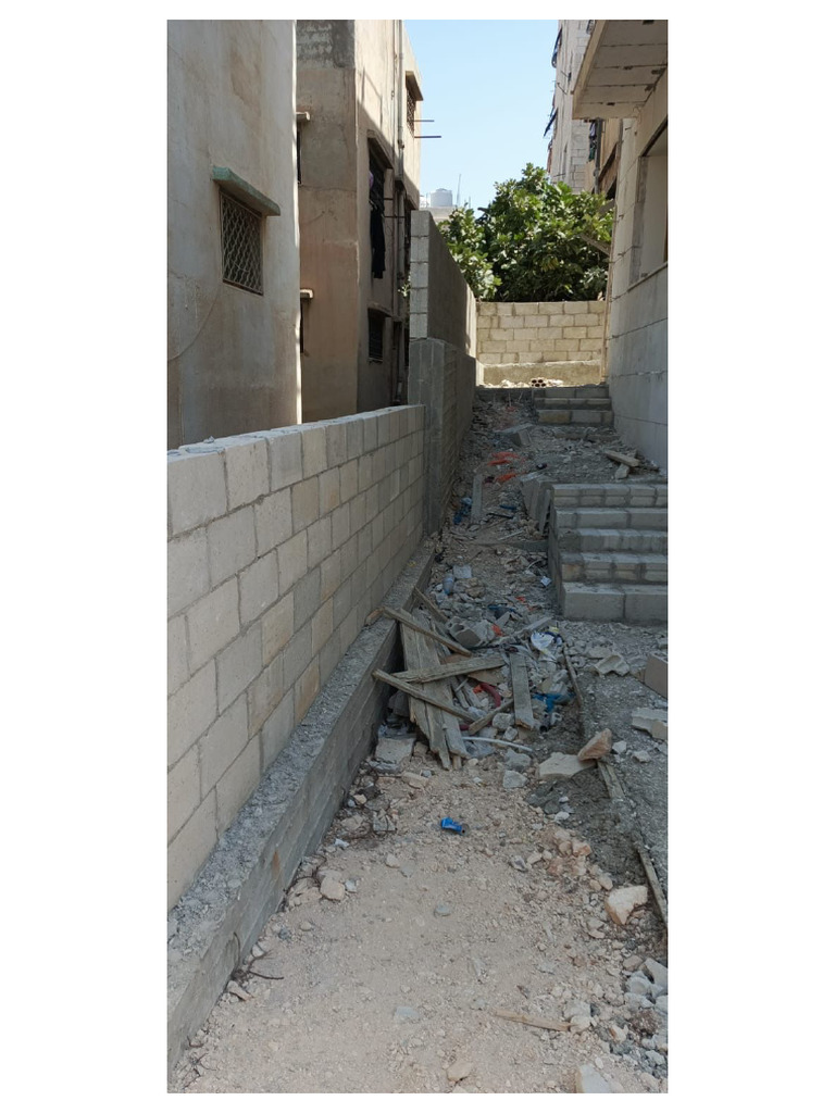 صور محمد علي | PDF