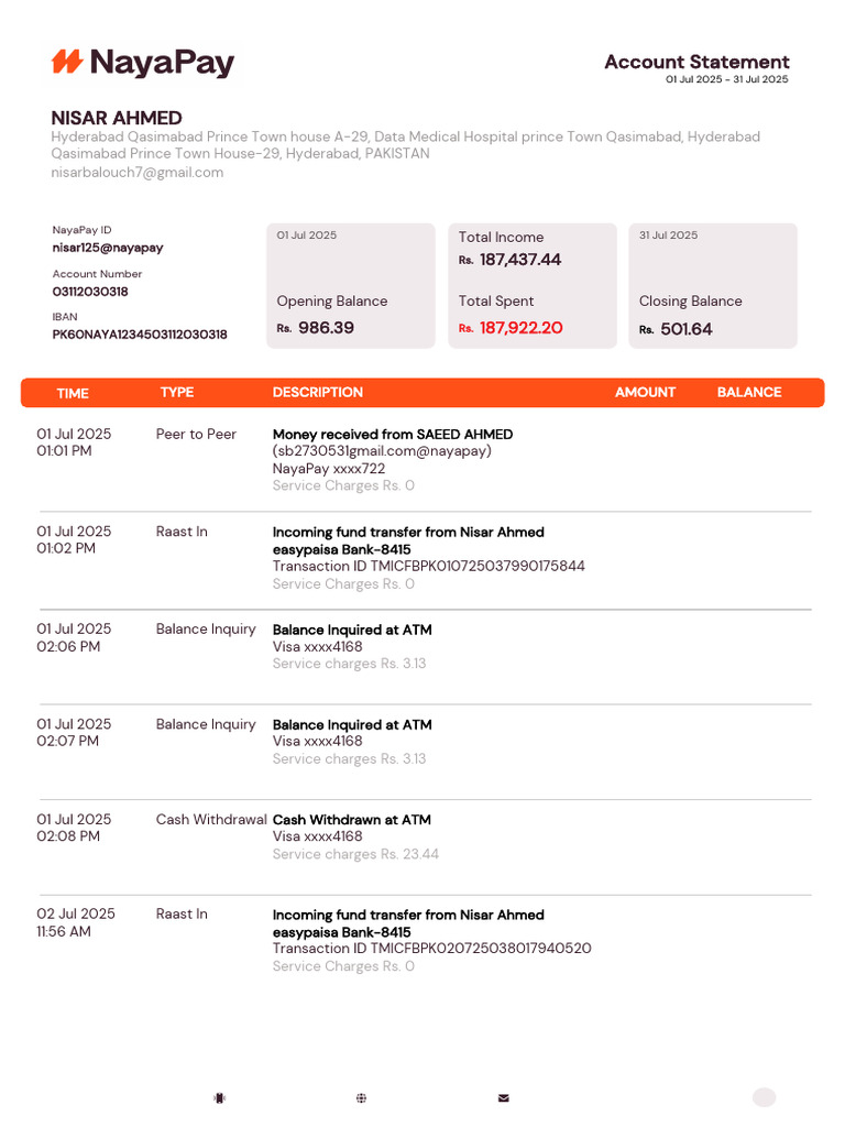 July 2025 Account Statement Summary | PDF | Fee | Visa Inc.