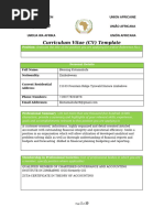 African Union CV Template Guide | PDF | African Union