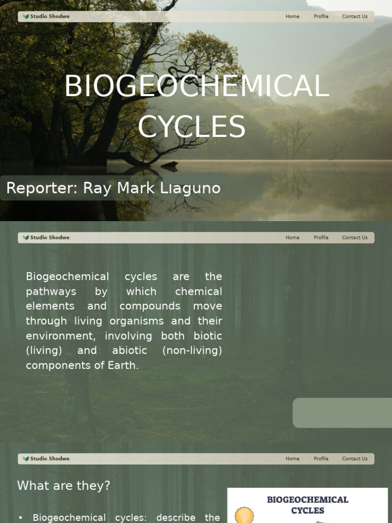 Understanding Biogeochemical Cycles | PDF