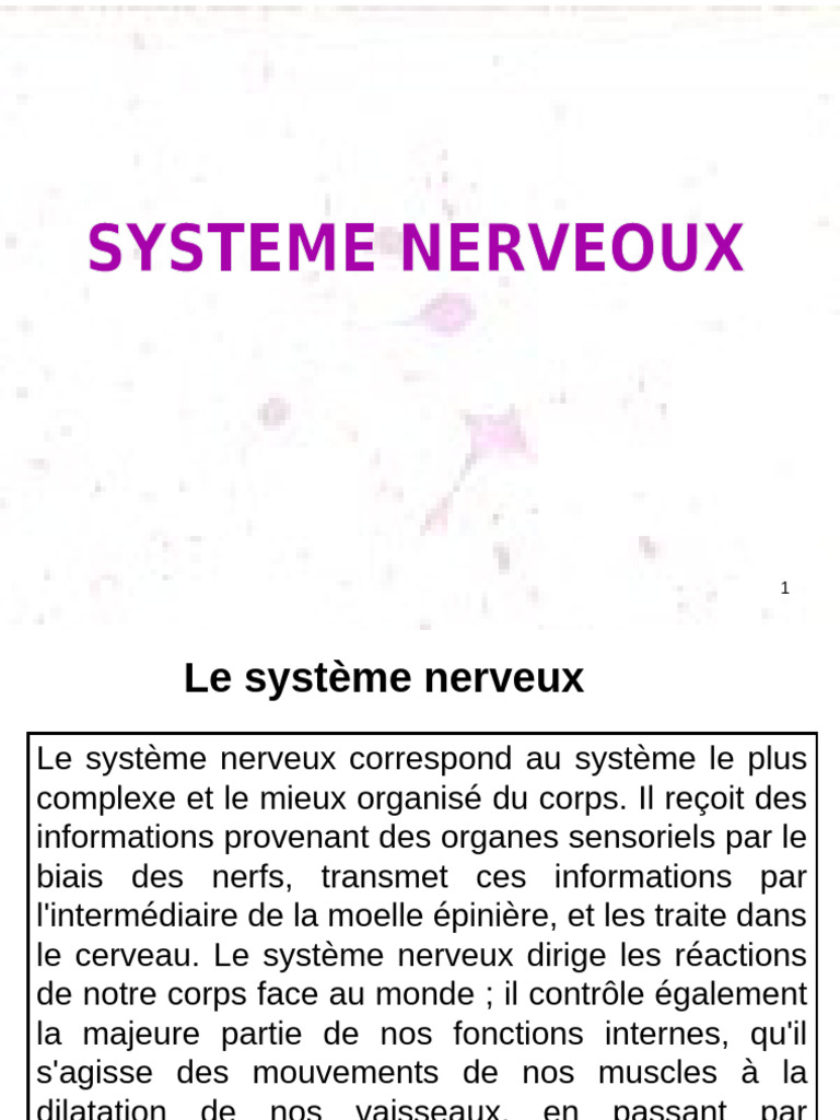 Comprendre le système nerveux humain | PDF | Système nerveux central ...