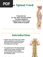 Spinal Cord Ascending and Descending Tracts Kenhub | PDF | Spinal Cord ...