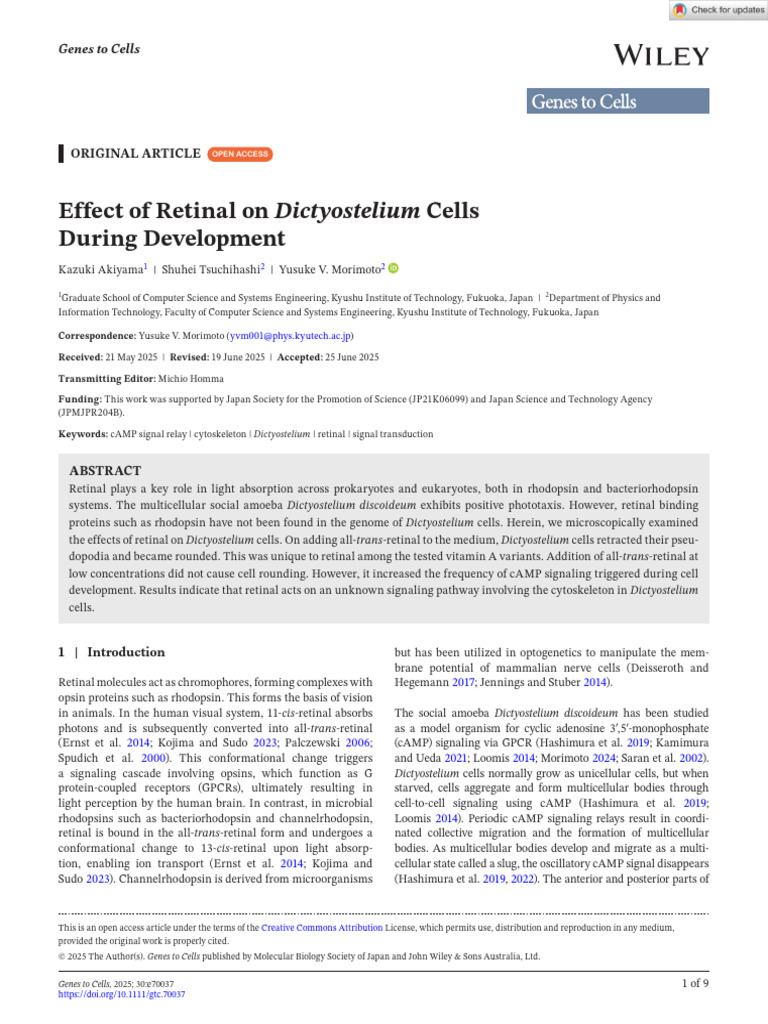 Effect of Retinal On Dictyostelium Cells During Development | PDF ...
