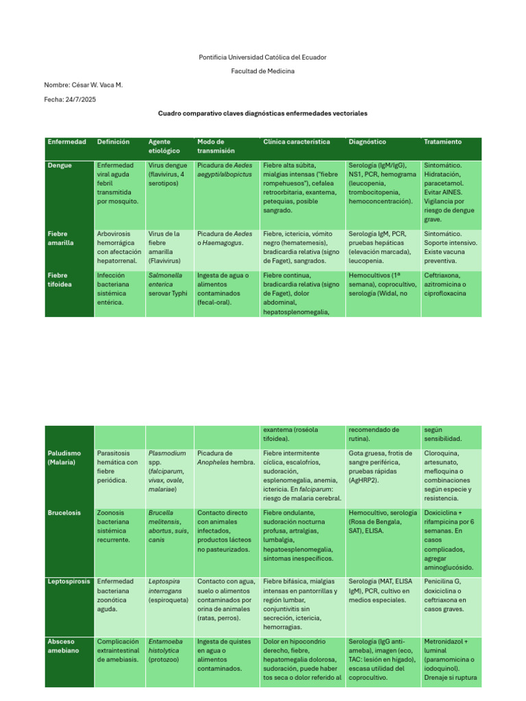Cuadro Enfermedades Vectoriales | PDF | Enfermedades y trastornos | Ciencias de la Salud
