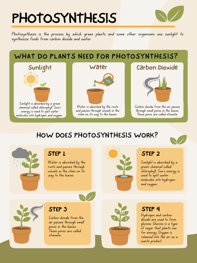 Photosynthesis Science Poster in Green and Yellow Orange Simple ...