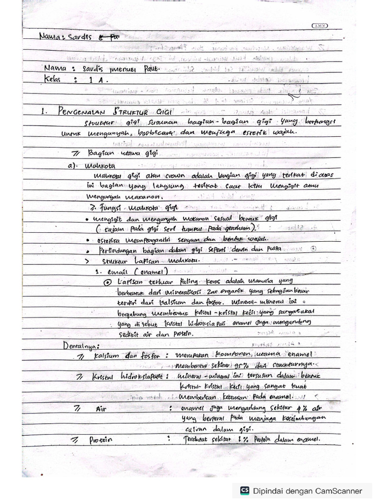 Tugas 10 Sardis | PDF