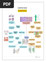 Padhle - Tissues - Class 9 Science Handwritten Notes | PDF