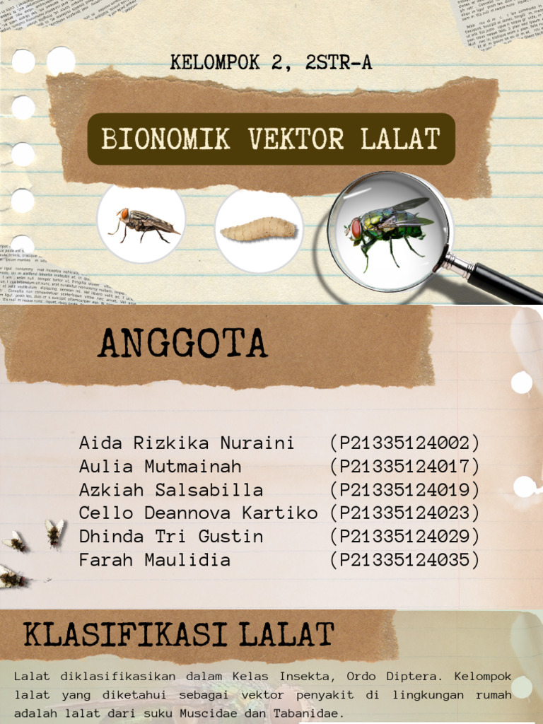 Morfologi dan Vektor Penyakit Lalat | PDF