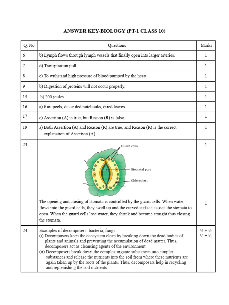 Answer Key Class 10 - pt-1 (Biology) 2025-26 | PDF | Biology