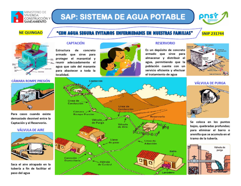 Banner Sap (Quingao) | PDF