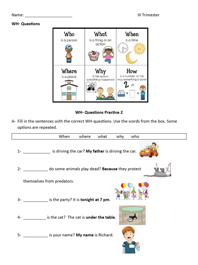 WH Questions - Worksheets | PDF