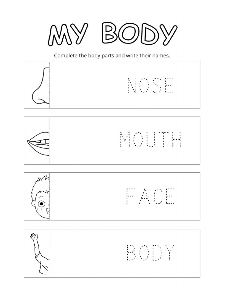 Parts of The Body Worksheets | PDF