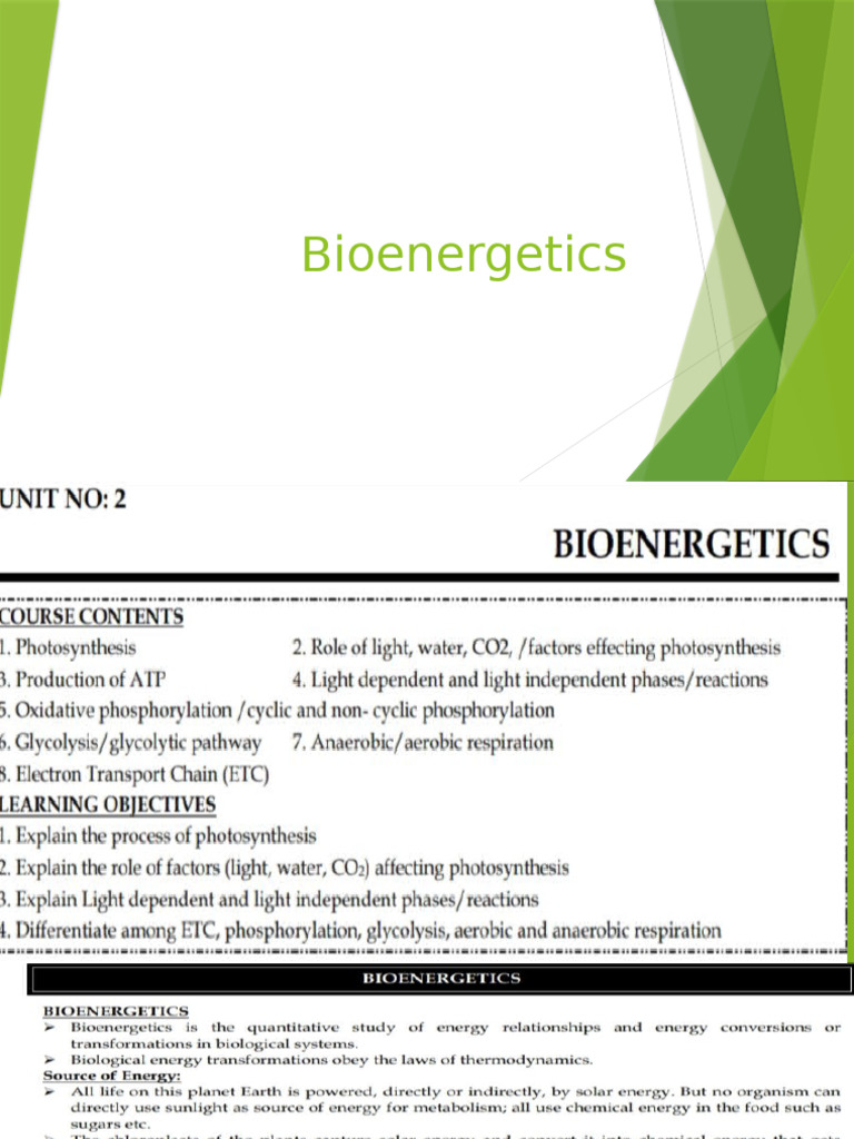 Bioenergetics Step 2025 NUMS | PDF