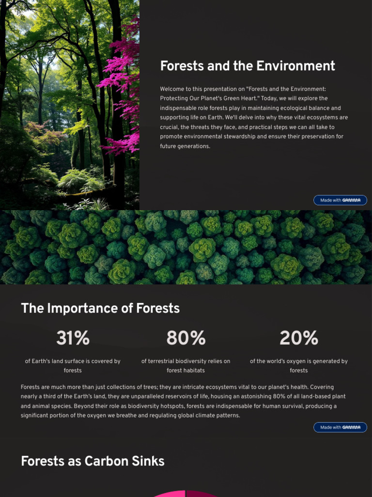 Forests and the Environment | PDF | Deforestation | Forests