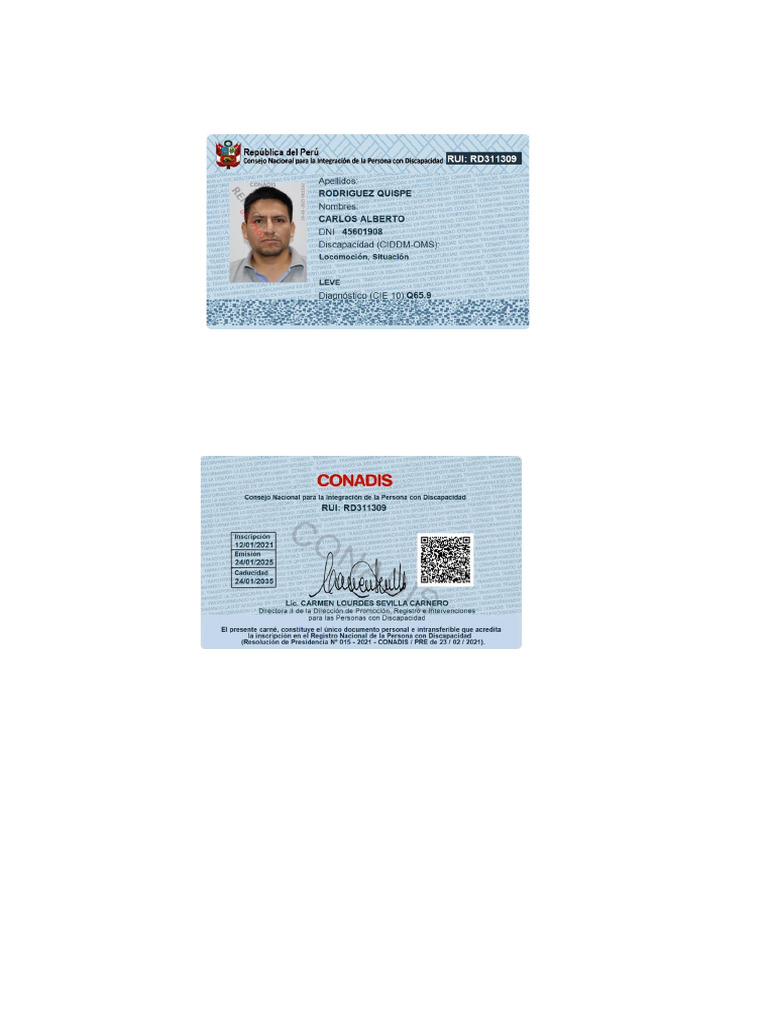 Carnet Conadis | PDF