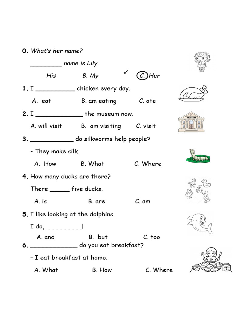 ESL Practice Test 3 Questions | PDF