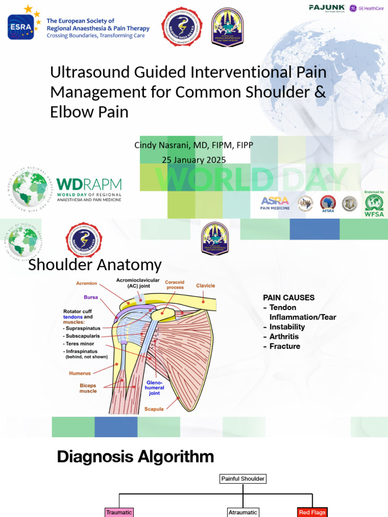 USG IPM Shoulder Elbow | PDF | Shoulder | Arm