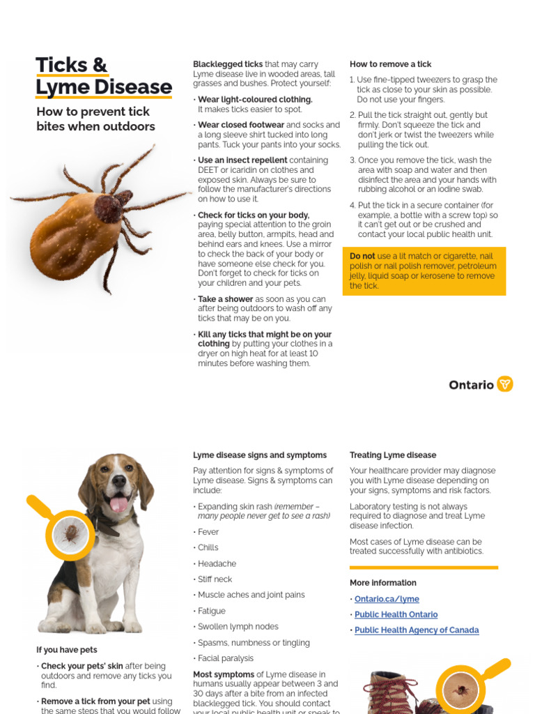 MOH Fact Sheet Ticks and Lyme Disease | PDF | Lyme Disease | Animal ...