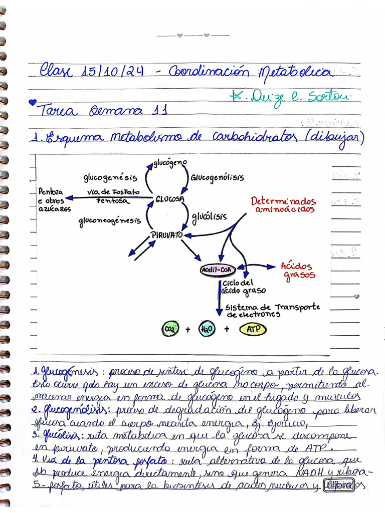 Bioquimica II | PDF