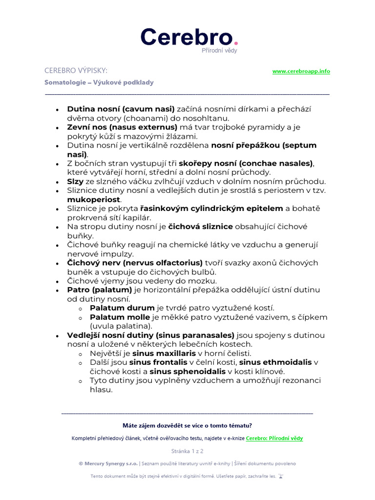 Dutiny Nosní, Vedlejší Nosní Dutiny - CEREBRO | PDF