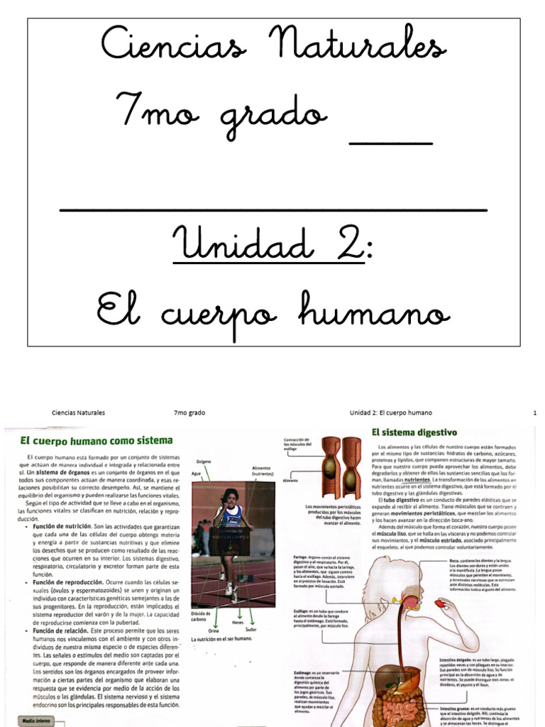 Unidad 2 - El Cuerpo Humano - Primera Parte | PDF