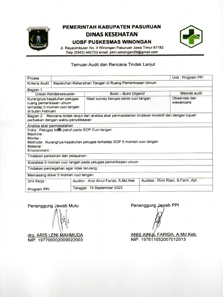 Audit Ppi 2 | PDF