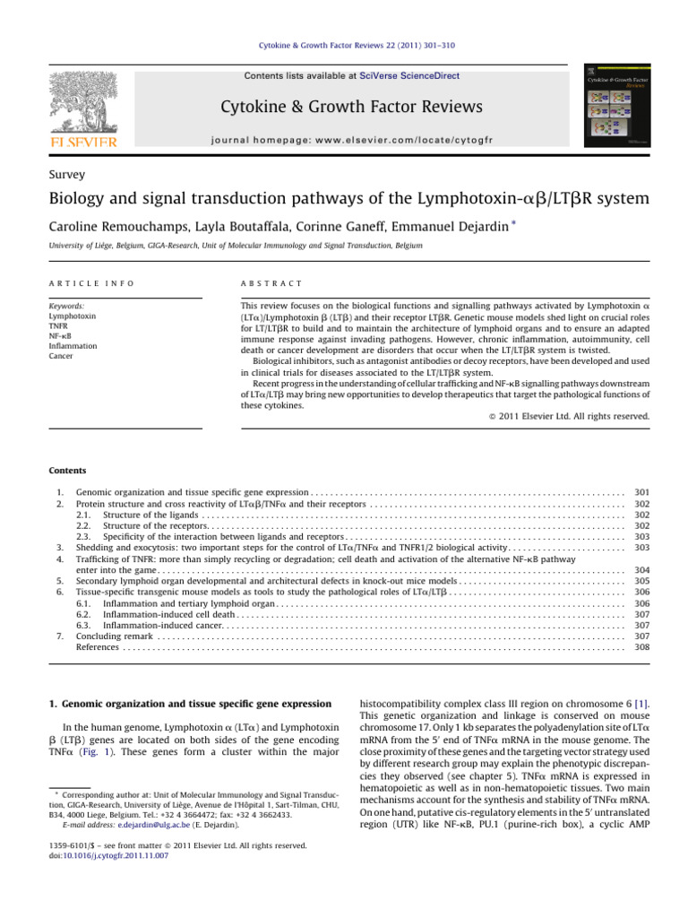 Biology and Signal Transduction Pathways of the Lymphotoxin-Ab:LTbR ...