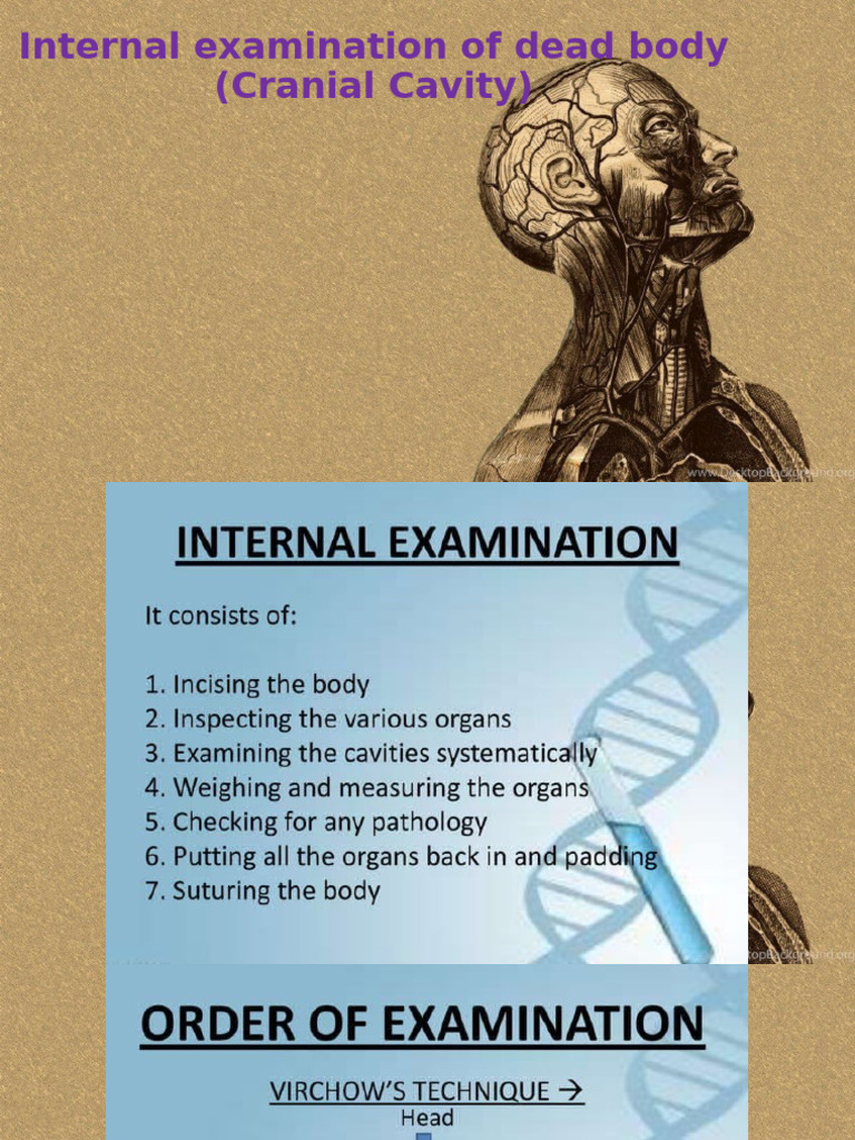 Internal Examination of Deadbody Cranial Cavity | PDF