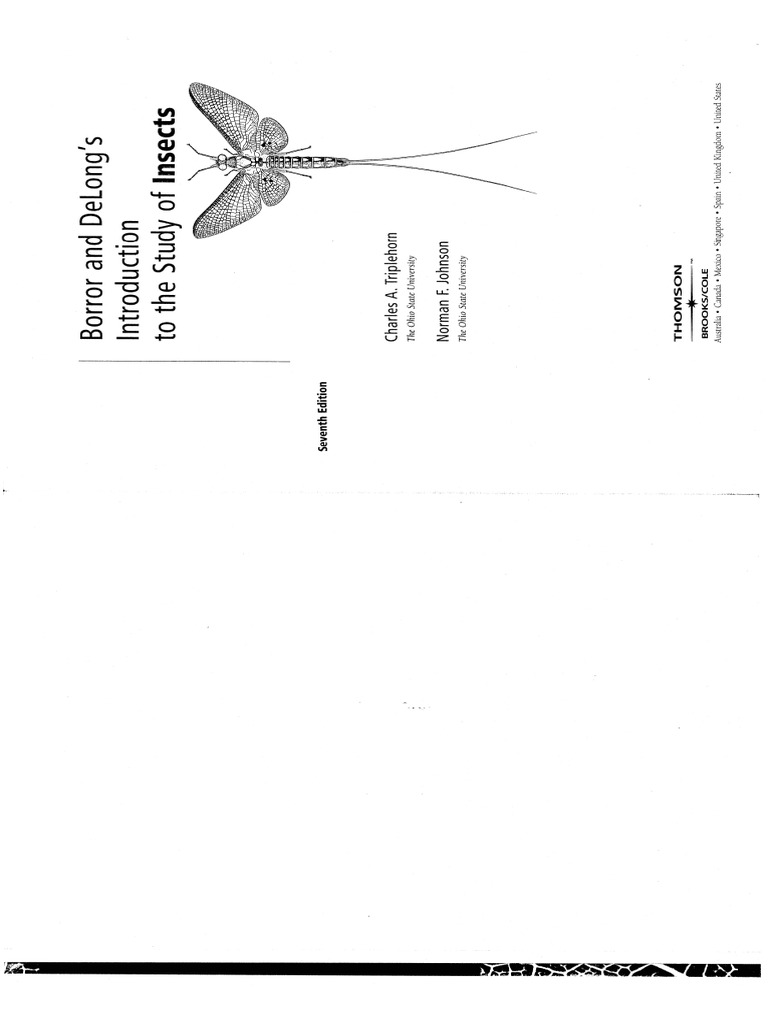 Study of Insect | PDF