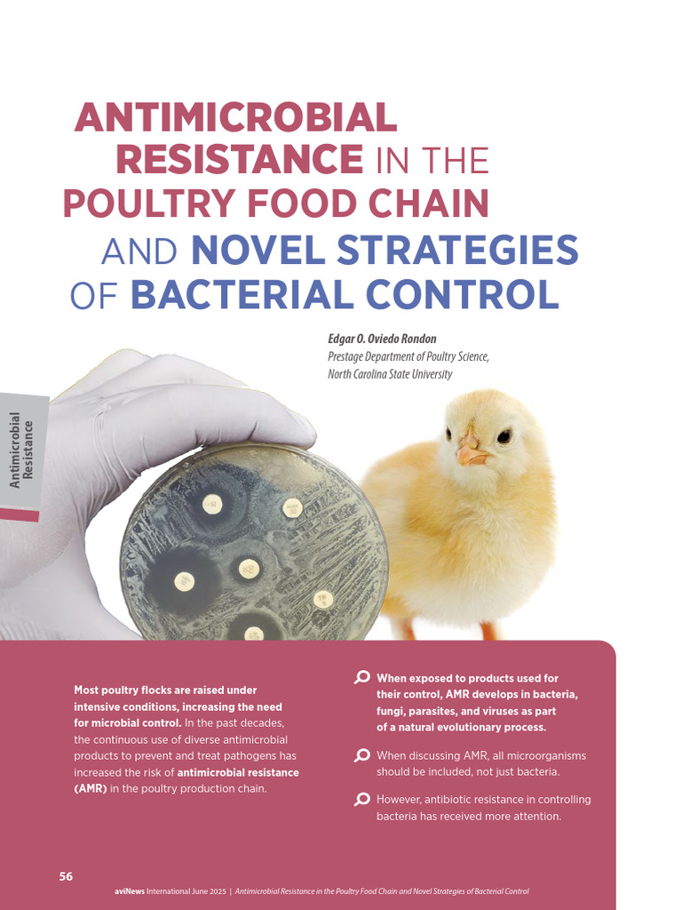 Antimicrobial Resistance in The Poultry Food | PDF | Antimicrobial ...