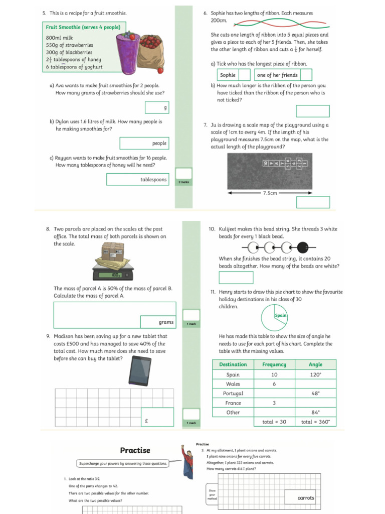 Ratio Questions | PDF