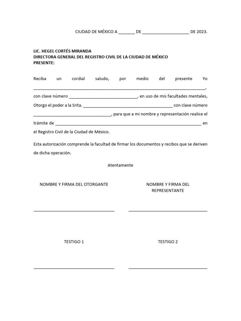 Ejemplo de Carta Poder para Llenar | PDF