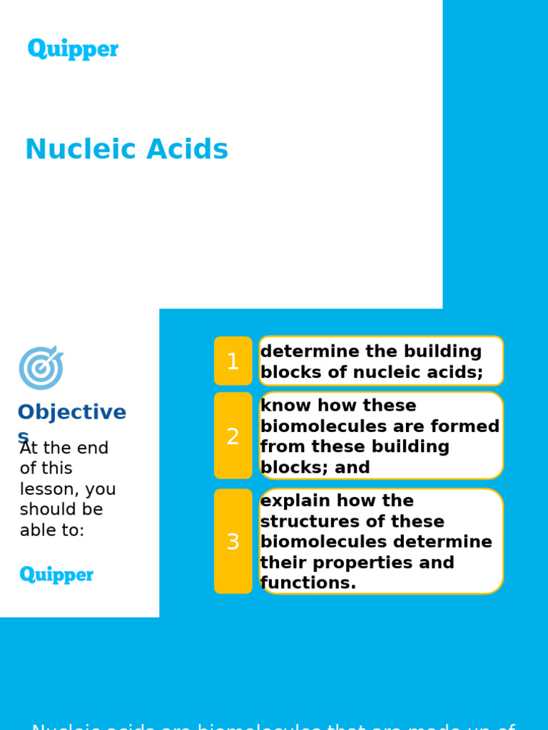 Understanding Nucleic Acids and Their Functions | PDF | Nucleic Acids | Rna