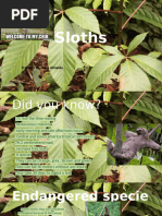 Sloths | PDF | Mammal Orders | Herbivorous Animals