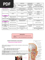 Musculos Intrinsecos y Extrinsecos Del Dorso | PDF | La columna ...