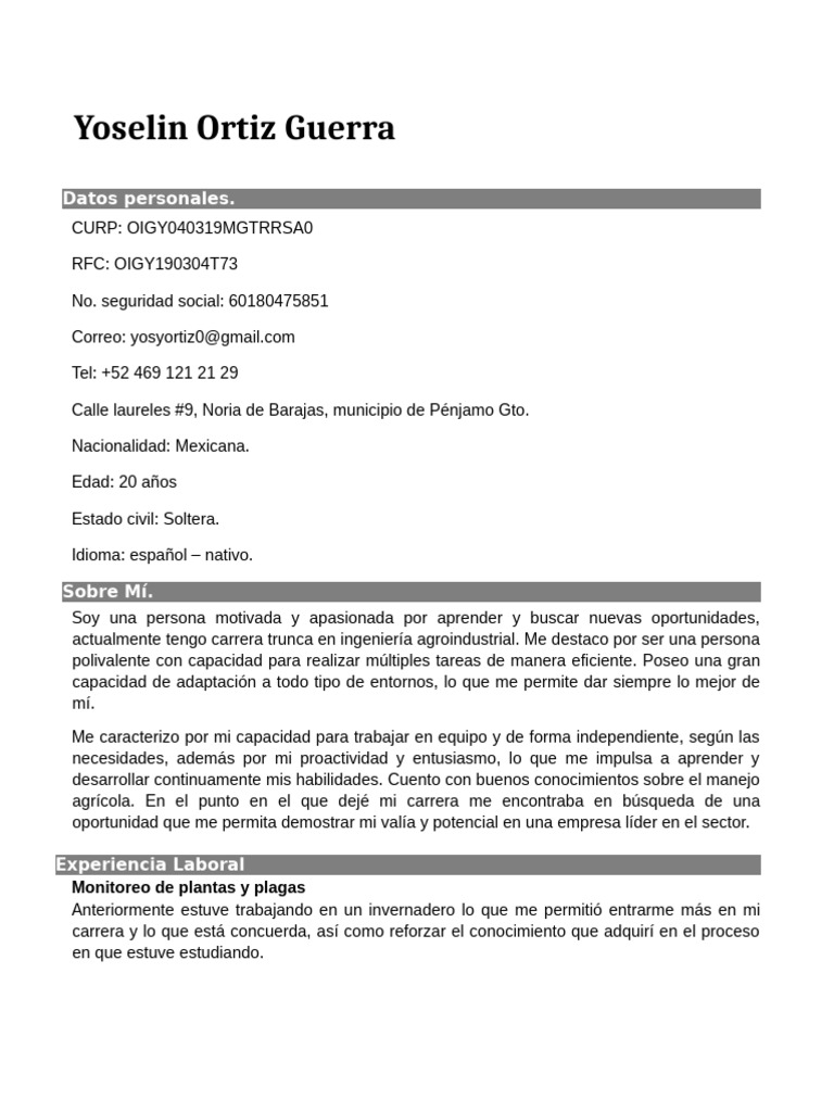 Perfil Profesional de Yoselin Ortiz | PDF